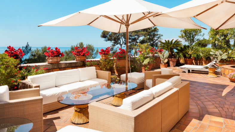 Perfect Terrace Garden Plants | Best Plants for Terrace Garden | Debongo